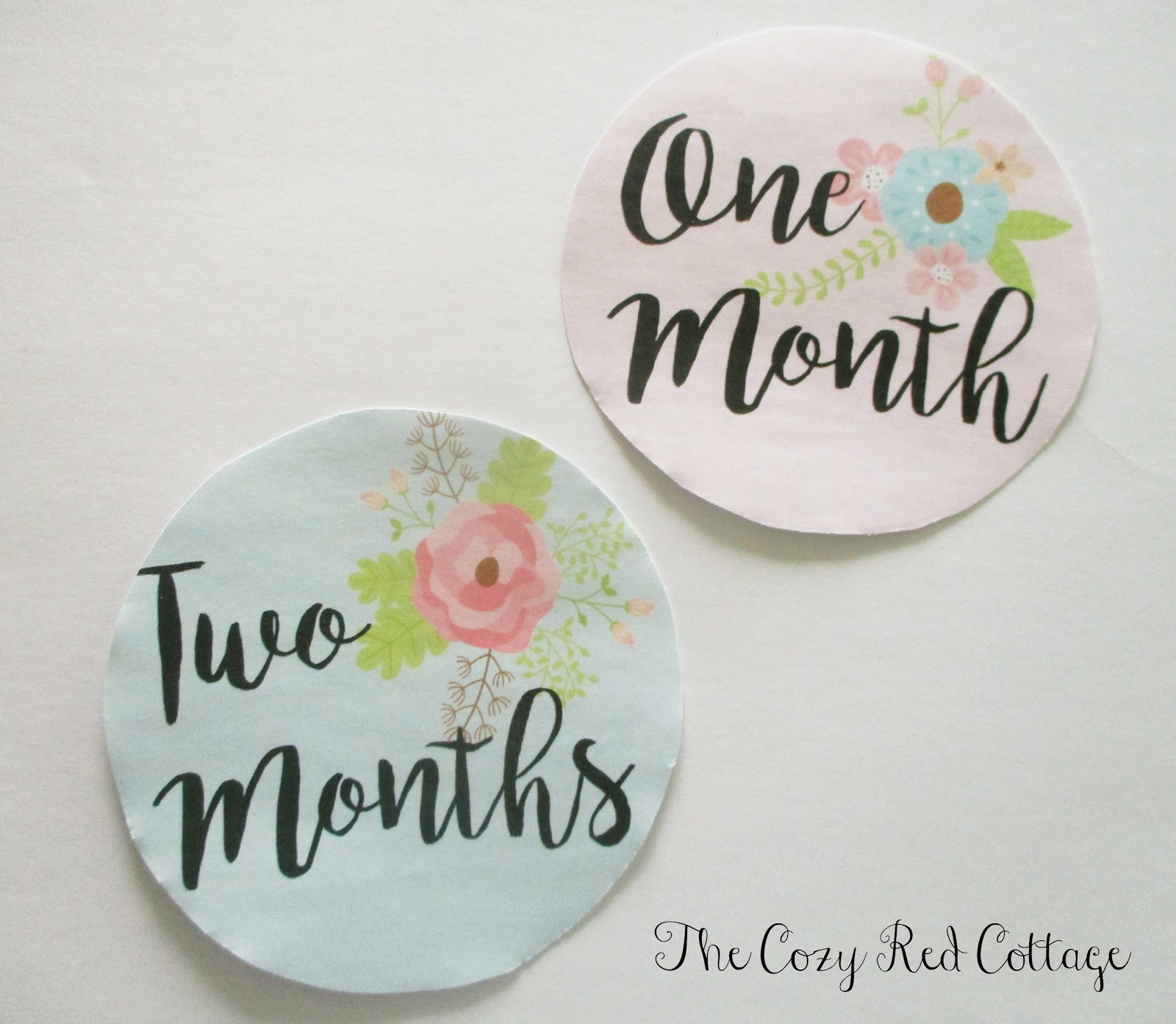 The Cozy Red Cottage: Free Baby Girl Monthly Milestone Stickers