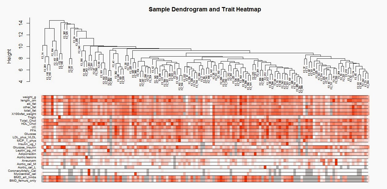 R Learning Note : WGCNA: an R package for weighted correlation network ...