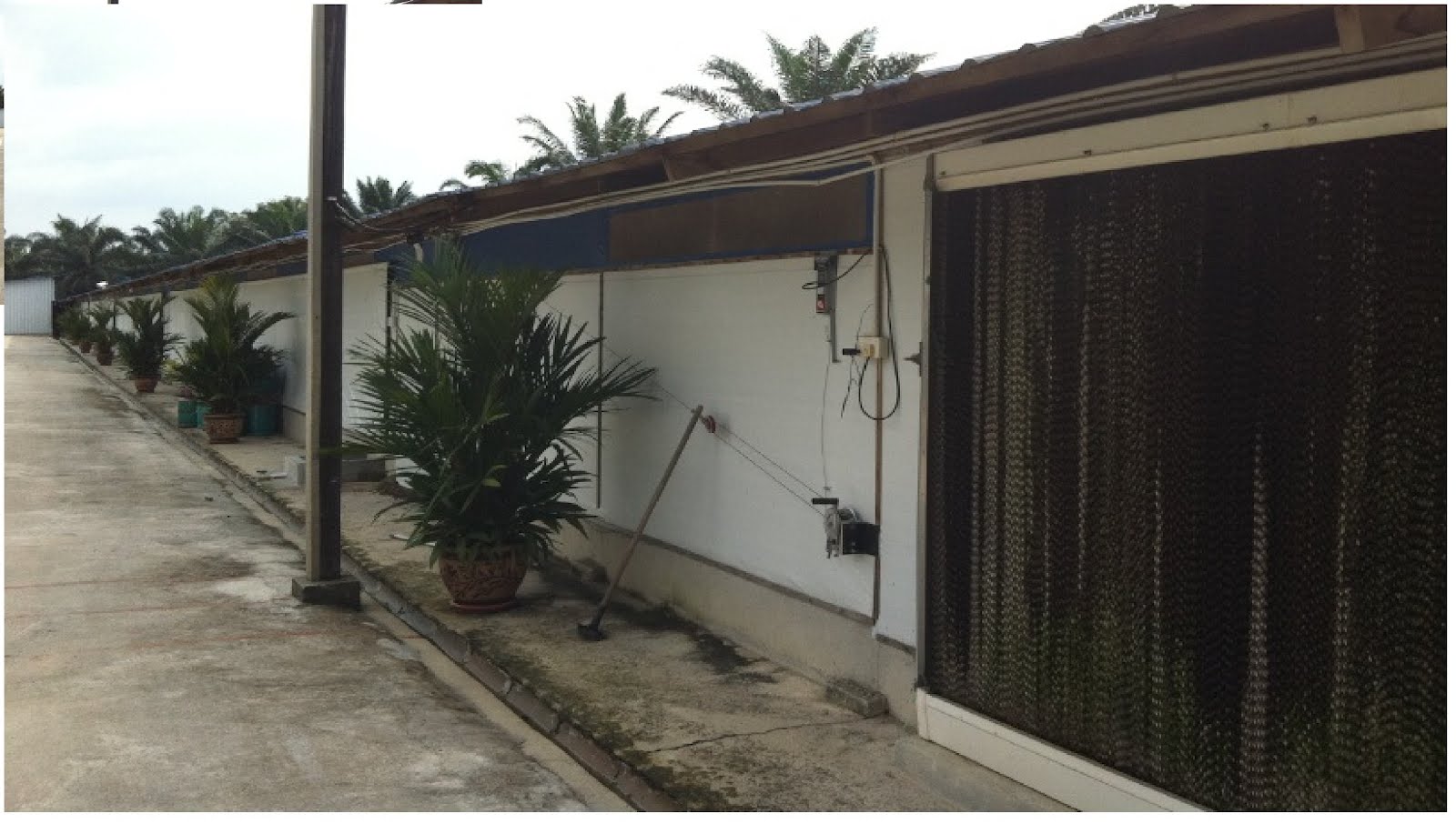 Pembinaan Reban Ayam | Maria Firdaus