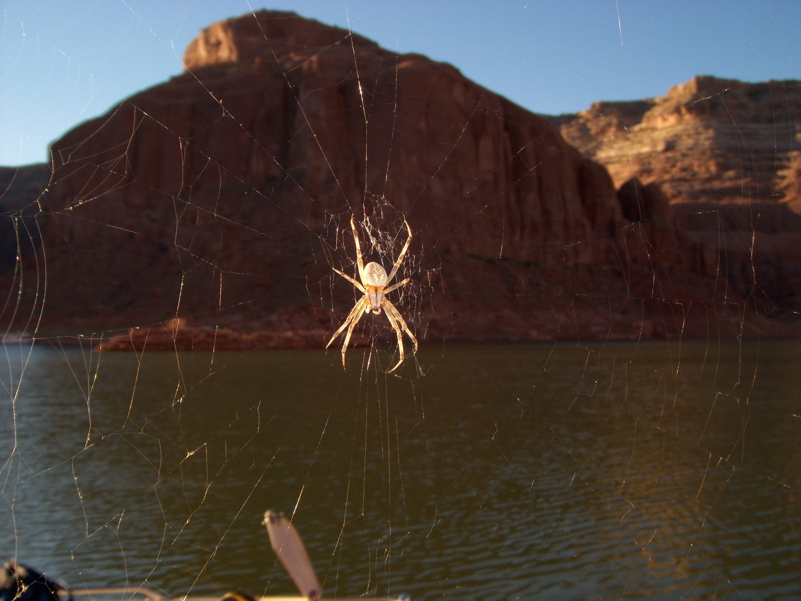 So this is Love: Lake Powell July 2011