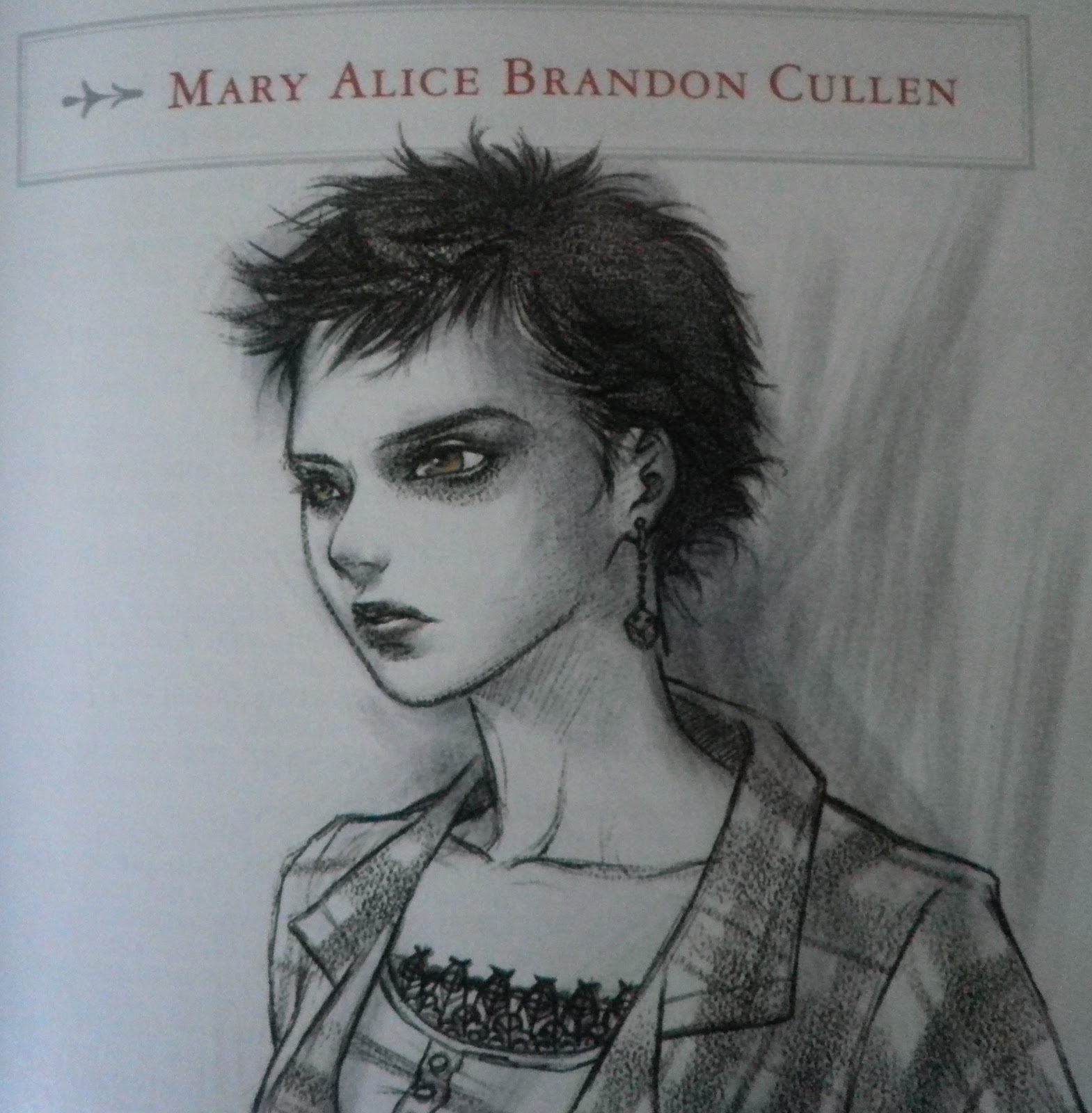 Más allá de las páginas: Saga Crepúsculo: Guía Oficial Ilustrada de ...