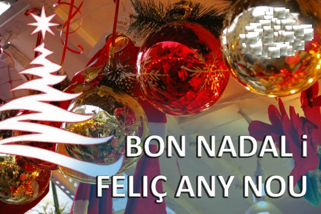 La gran meta de l'educació no és el coneixement, sinó l'acció . : BON NADAL