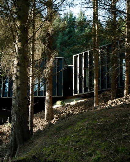 a f a s i a: Clancy Moore Architects