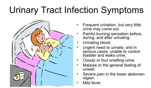 Importance of Infection Prevention from CAUTI and Use of Care Bundle ...