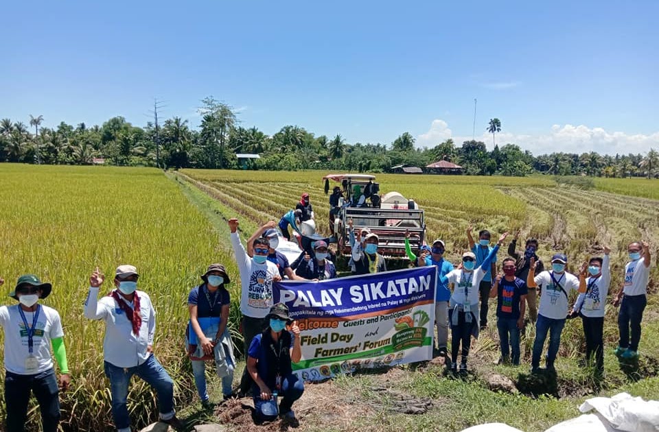 IRRI News: Green Super Rice variety surpasses 4.4 ton max yield, nets 8 ...