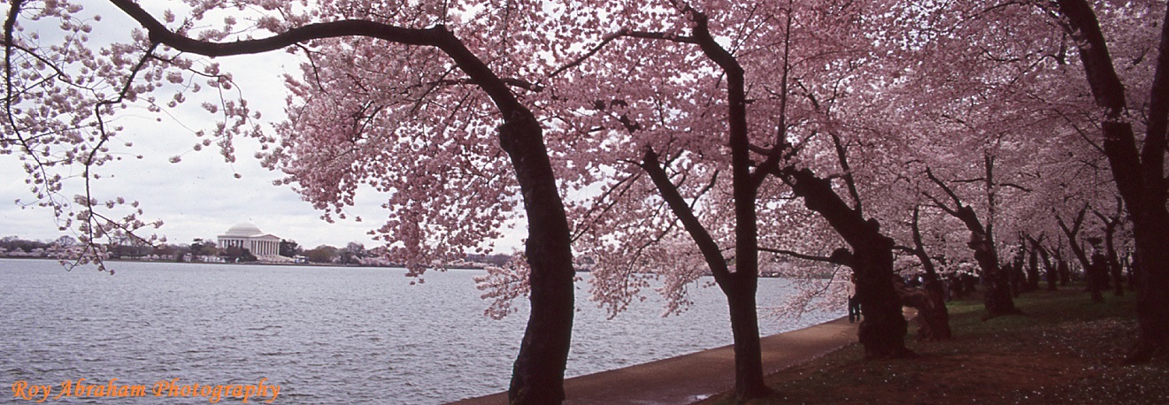 Conservation and Gardening: 40 Natural wonders one must see and enjoy ...