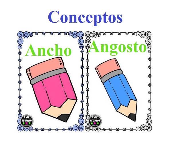Kinder: Concepto Ancho - Angosto