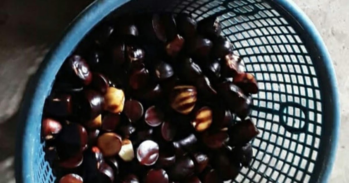 Julang Jaling Baunya Bikin Pusing, Rasanya Nagihin - Jaringan Penulis ...