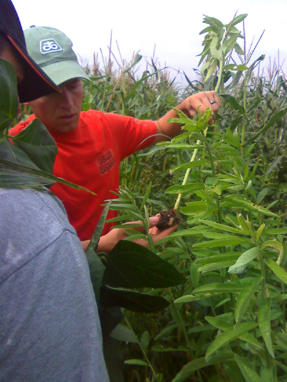 Farmer on a Mission: You're Invited! CRP Conversion Plots & Cover Crops ...