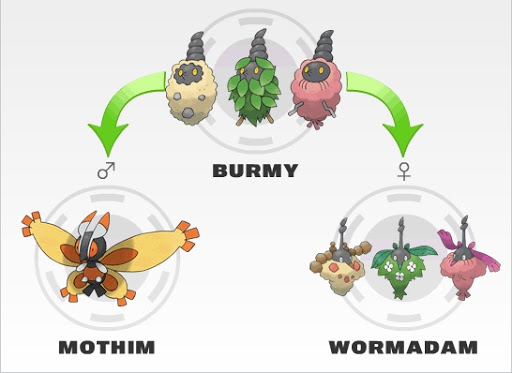 EntomoBloG: Similitudes entre pokémon e insectos de la vida real (Parte II)