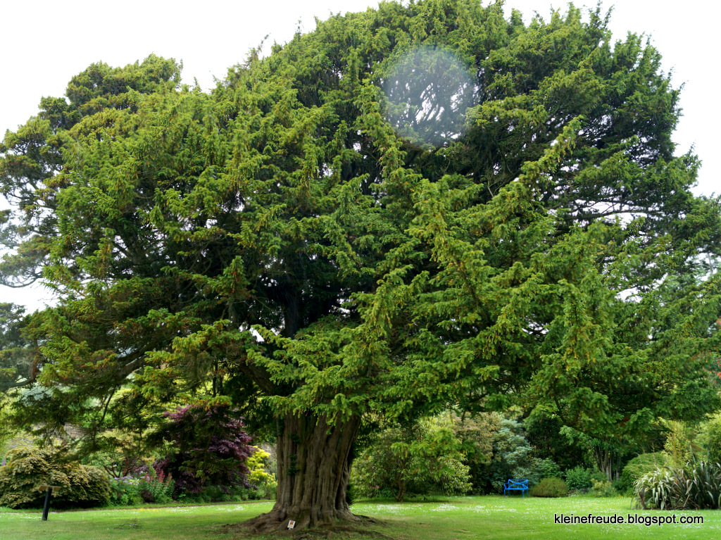 kleine freude: Juli 2013