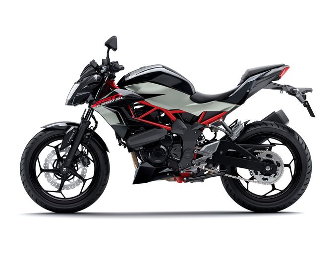 manual-motos-y-atv-kawasaki-z-250-zl