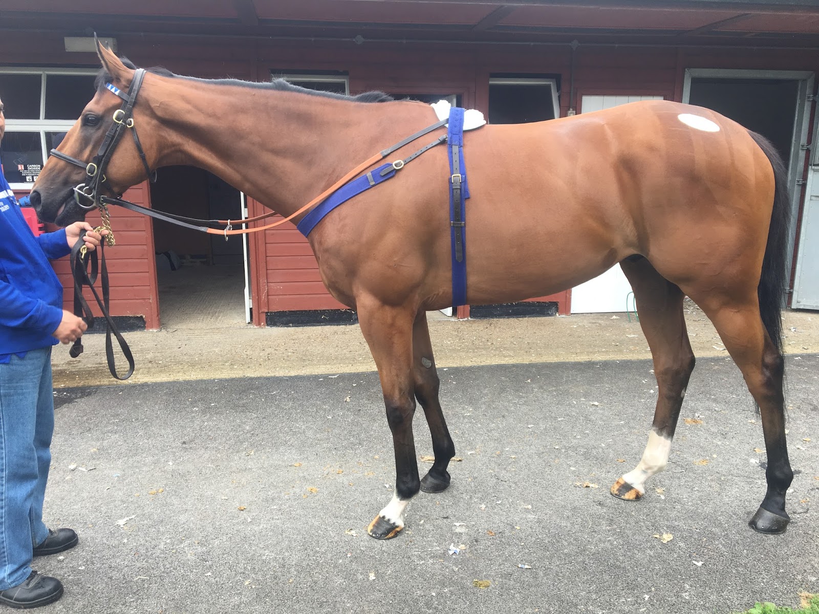 Simon Earle Racing: August 2017