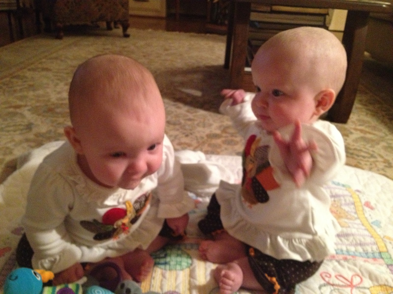 The Pair of Scates: Twin Turkeys on Thanksgiving