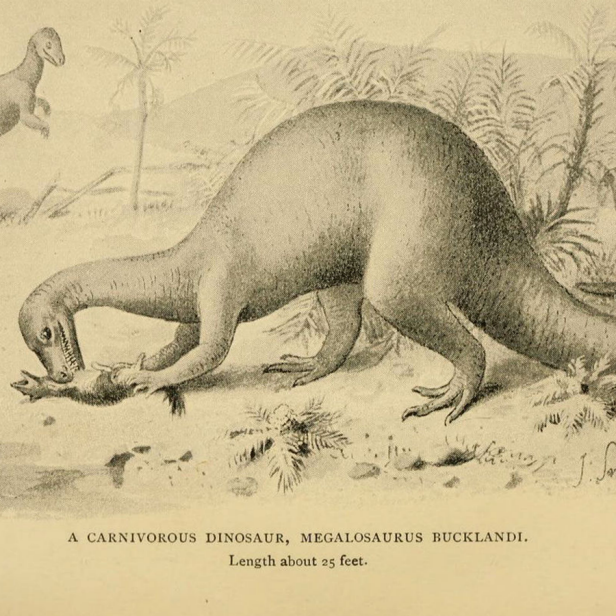 The First Dinosaur Fossils Were Found in the 1800's ~ The Hidden ...