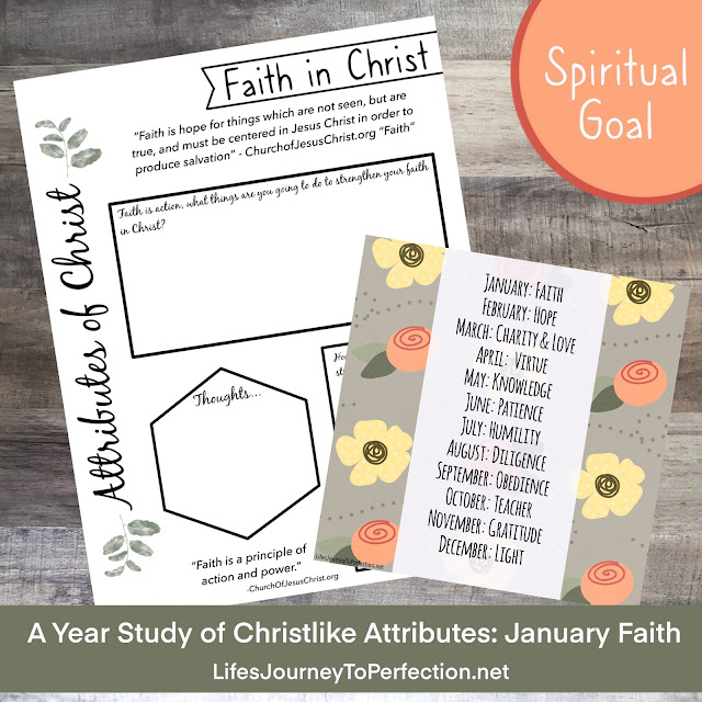 Life's Journey To Perfection: Spiritual Goal, A Year of Coming Unto ...