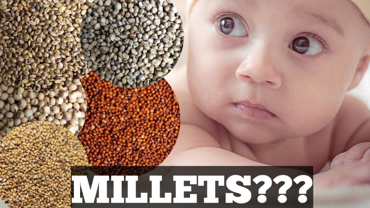 Millets Market is Booming in 2020 – TCR Connecting Agriculture