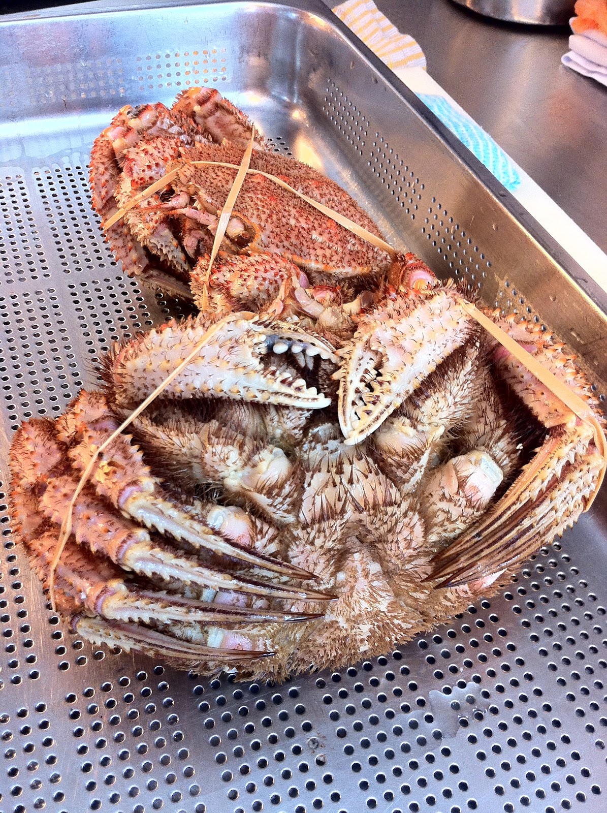 Kegani (Horsehair Crab)