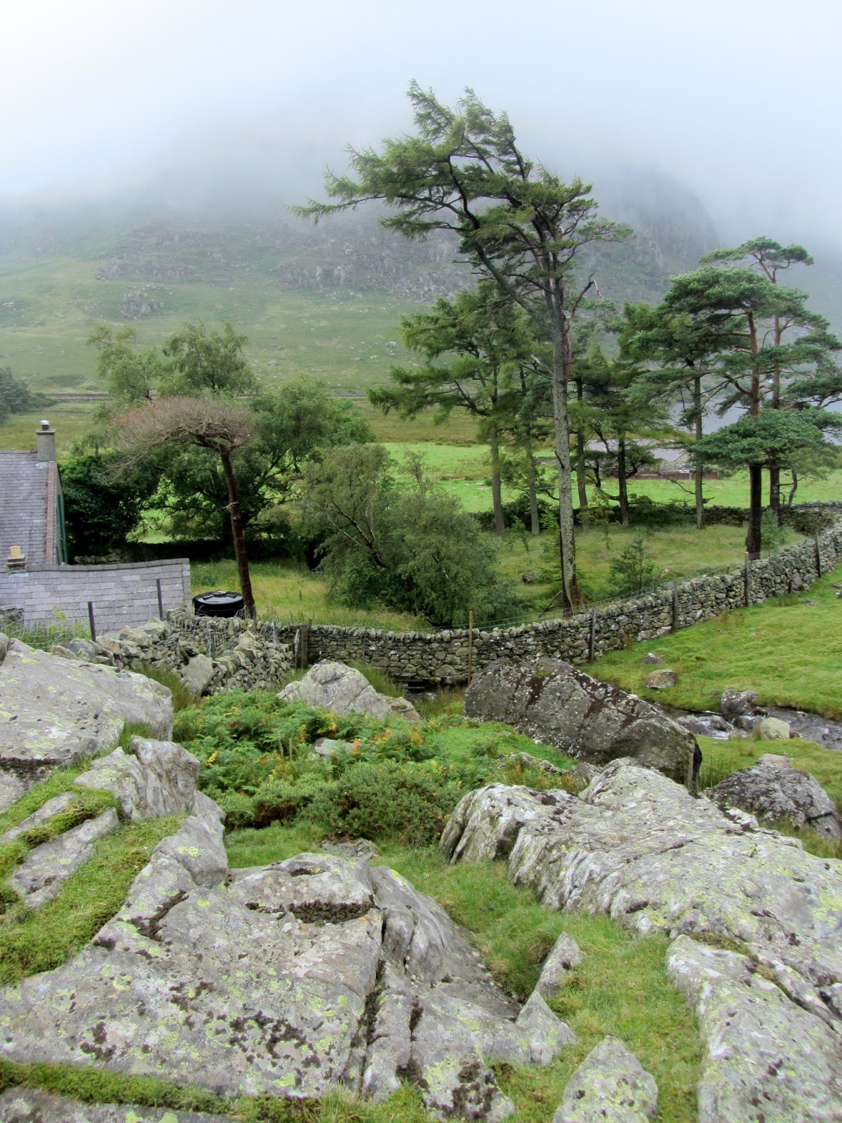 Ramblings from an English Garden: Snowdonia National Park in Wales