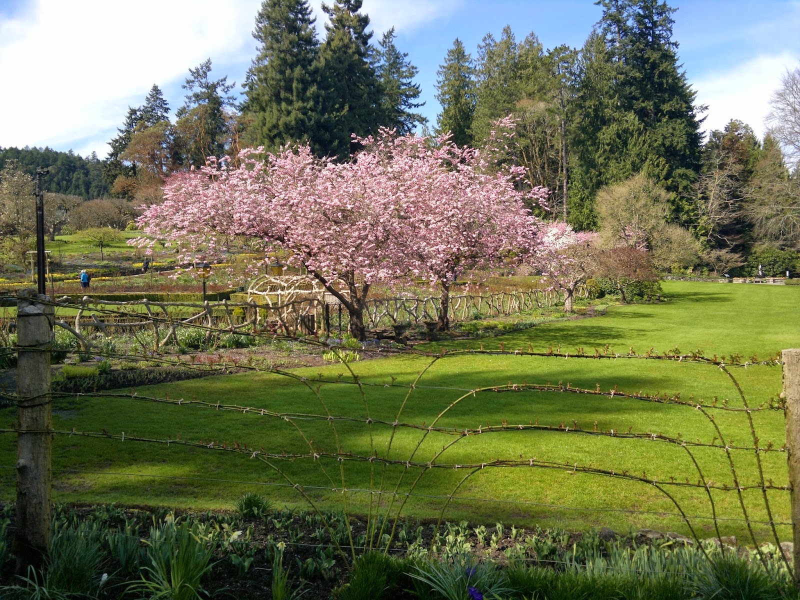 Gardens - Heaven on Earth: Spring in Butchart Gardens
