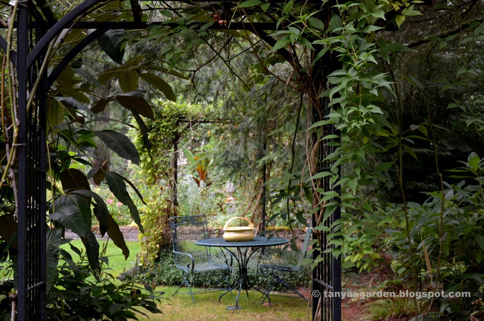 MySecretGarden: Fall Garden Snaps