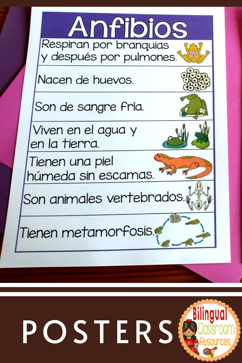 Awesome Hands-on Science Centers in Spanish That Your Students Will ...