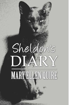 Book Blast: Sheldon's Diary - KayCee K.