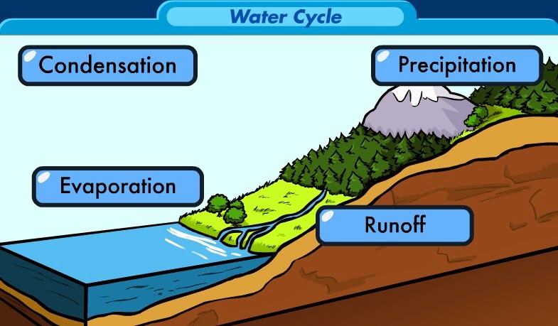 Bringing Science to You: Water cycle steps
