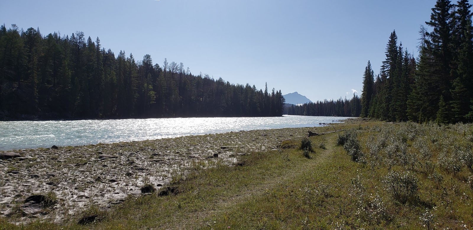 Jasper - Nature's Playground