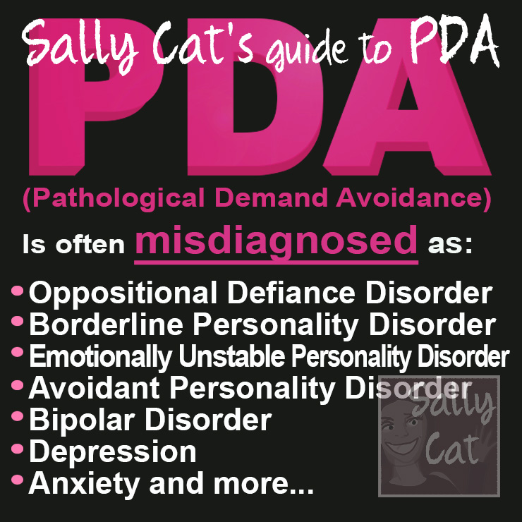 Sally Cat PDA: Memes About Diagnosis