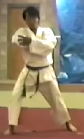 Isshin - Concentration the Art: Kata Creep, the Movement of Kata ...