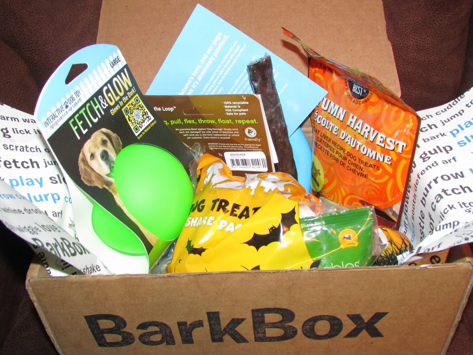 My Rotten Dogs: October 2013 BarkBox Review