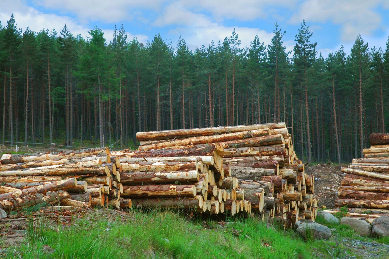 CLASSIFICATION OF NATURAL RESOURCES Environment Go 