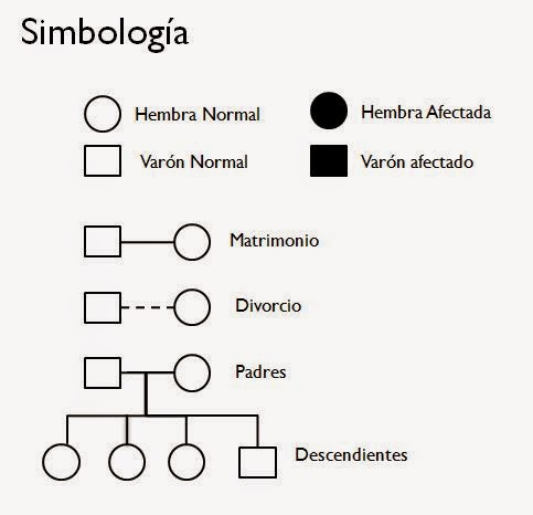 ADBS.DOC: Los árboles Genealógicos