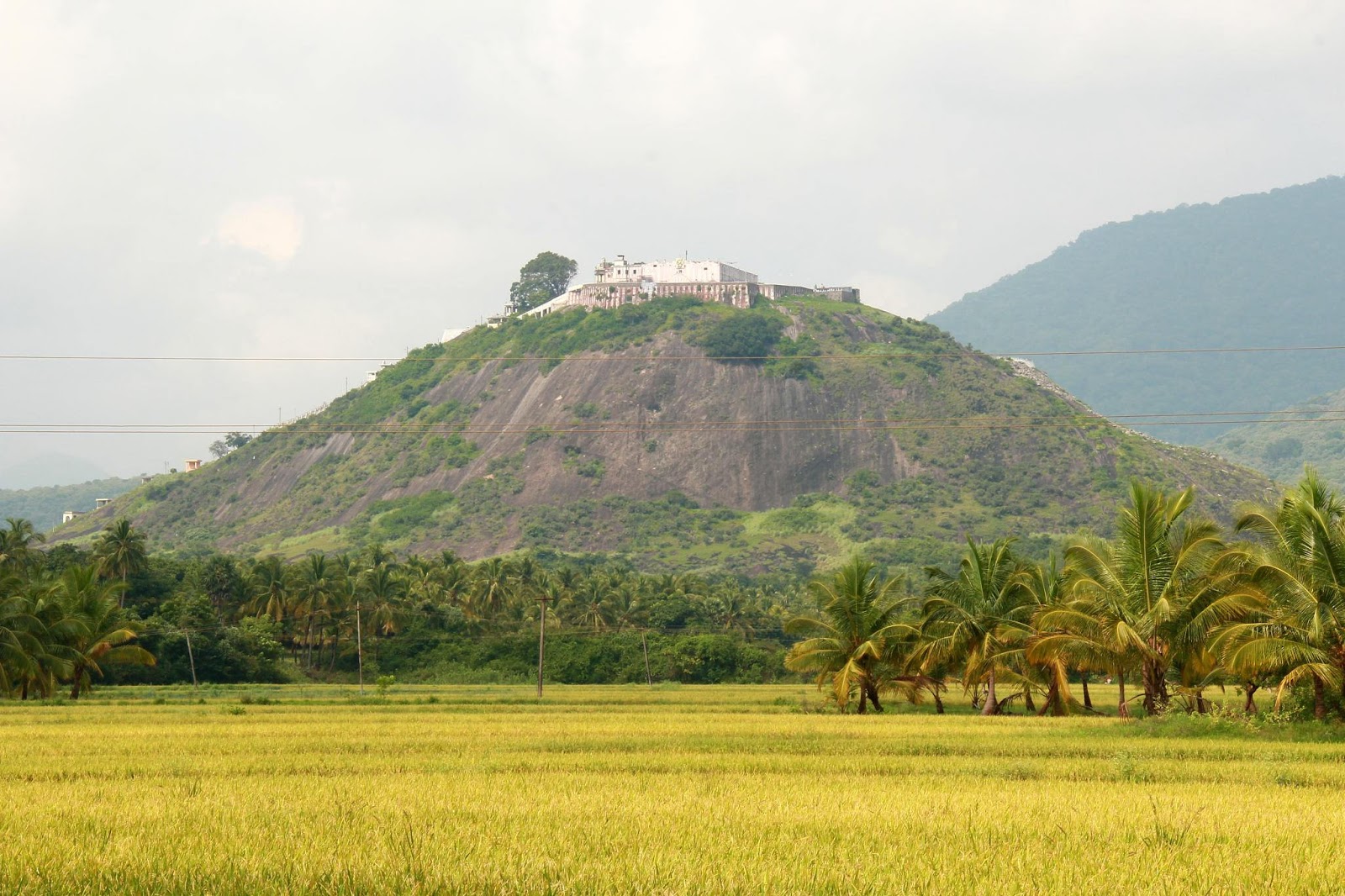 Tamilnadu Tourism: Thirumalai Kumaraswamy Temple, Panpoli – The Temple