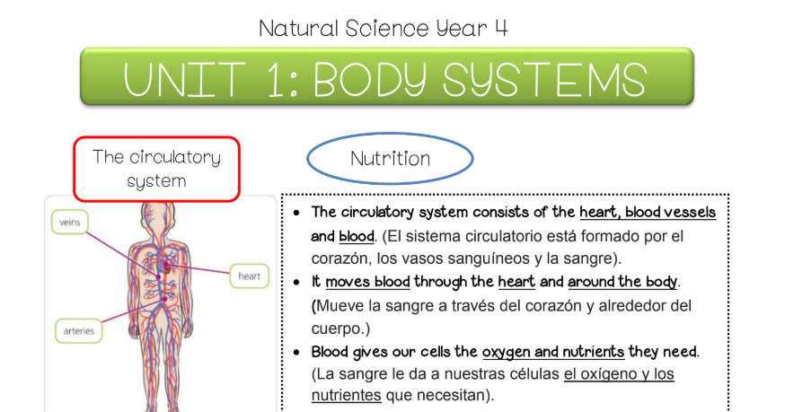 4º Educación Primaria: NATURAL SCIENCE. UNIT 1 THE BODY SYSTEMS