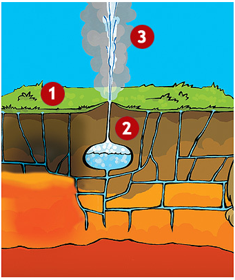 BIBOCA AMBIENTAL : GÊISER