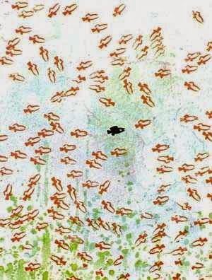 Ratones de Biblioteca: "Nadarín" de Leo Lionni