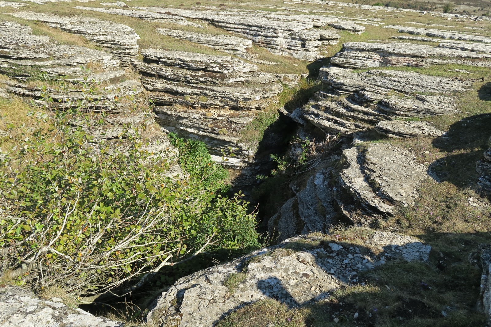 LAUKOAK: (20200826) Visitando simas en la Sierra de Andía desde el ...