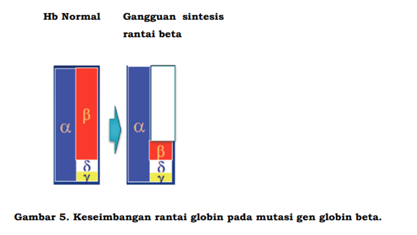Pemeriksaan Laboratorium dalam Mendiagnosa Thalassemia