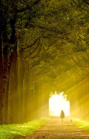 Useful Breath: June 11 - The First Gleam of Dawn