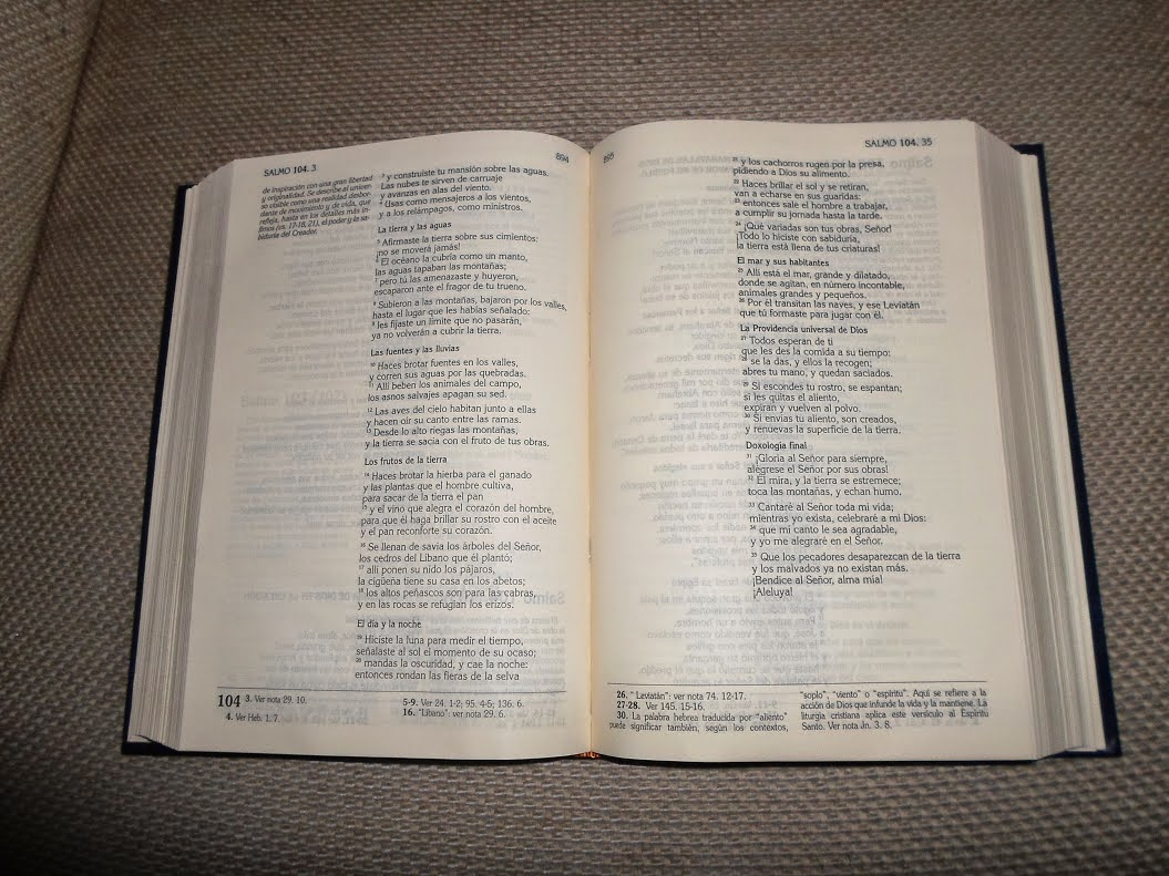 Catholic Bibles: Guest Post: Bible Versions in Spanish
