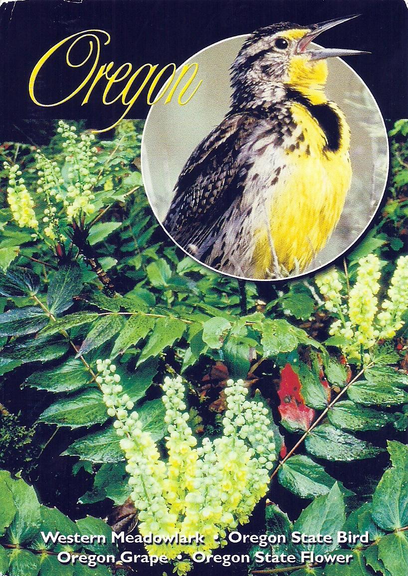 Projek Satu Dunia (One World Project)™: USA - Oregon - State Bird ...
