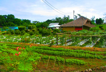 AgriHunt: Demo farm showcases integrated farming