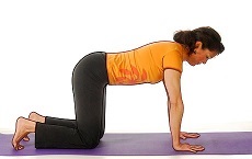 Yo Practico Yoga: 3 Formas de Hacer la Postura del Delfín en Yoga ...