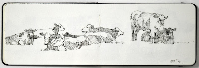 Ian Sidaway Fine Line: Cattle