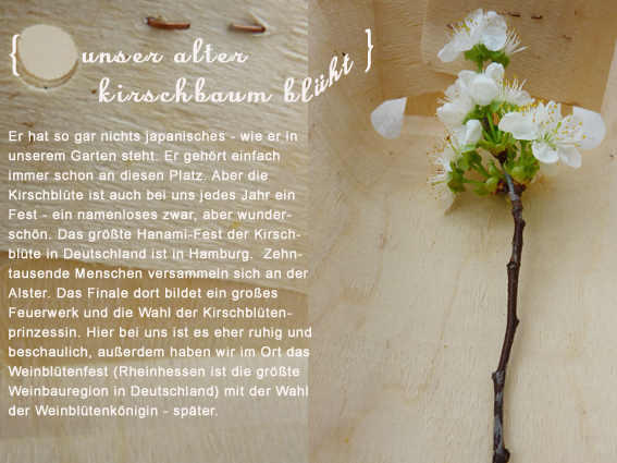 rheingrün: Der alte Kirschbaum