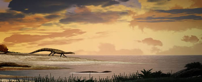 Species New to Science: [Paleontology • 2016] Litorosuchus somnii • A ...