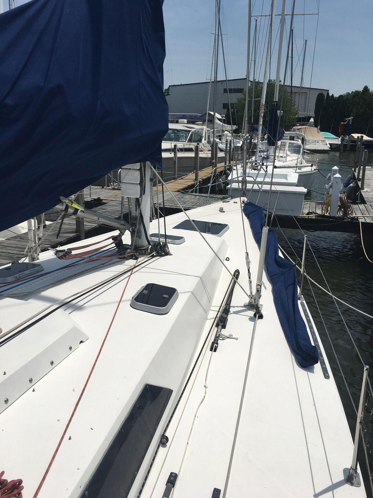 The Sailing Adventures of Bootlegger - A Tripp 47: There's a New ...