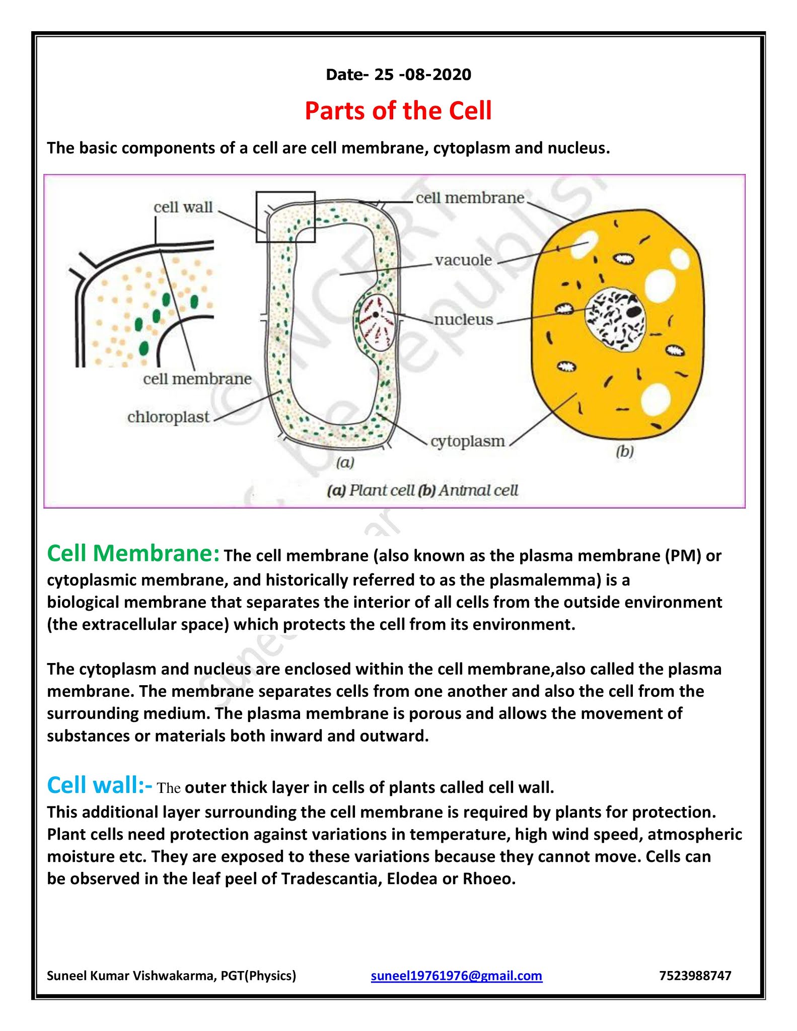 Chapter-8.Cell — Structure and Functions